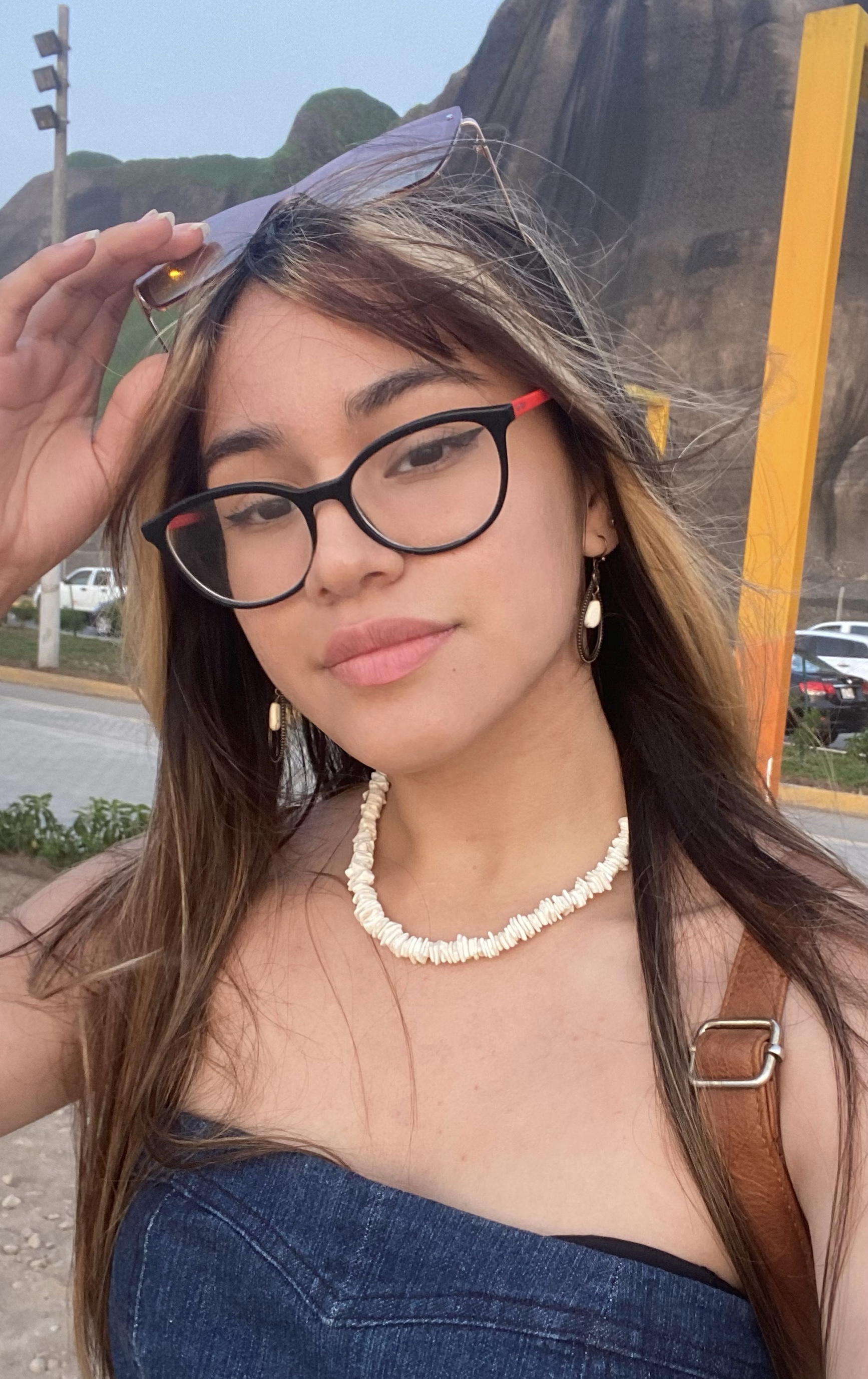 Resume - Katherine Milla